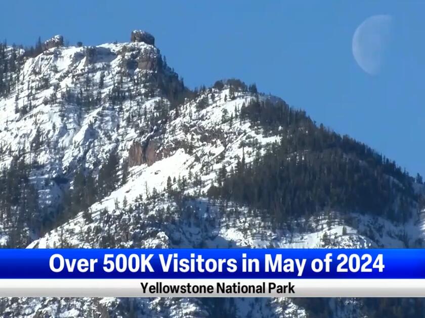 Yellowstone National Park releases visitor stats for May 2024, up 15% ...