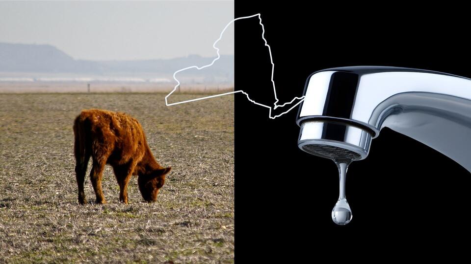 Capital Region Counties Added to New York’s Expanding Drought Watch ...