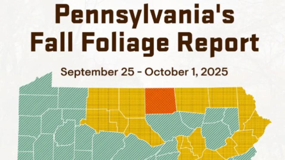 PA launches a new map for fall foliage. When will we hit peak leaf ...