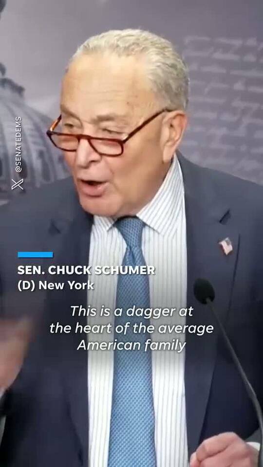 Senator_Chuck_Schumer_criticized_President_Trump_s_order_to_halt ...
