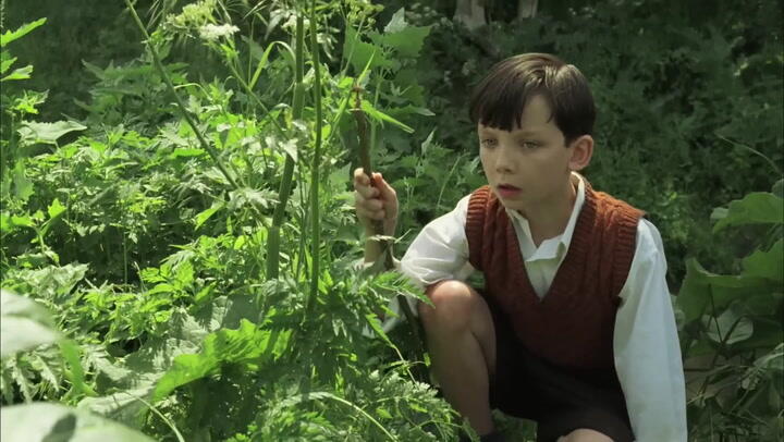 The Boy in the Striped Pyjamas author: ‘If you want the facts of the ...