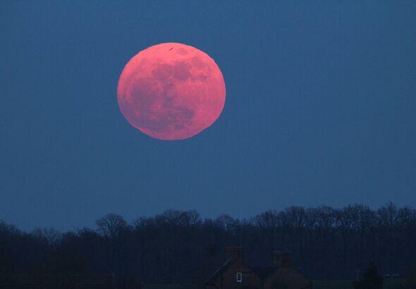 When exactly is the spectacular pink moon lighting up the skies in ...