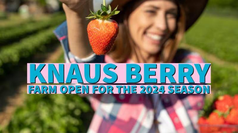 Knaus Berry Farm Open For The 2024 Season - NewsBreak
