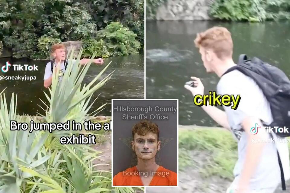 Louisiana man jumps into Busch Gardens alligator pit in mindless bid ...