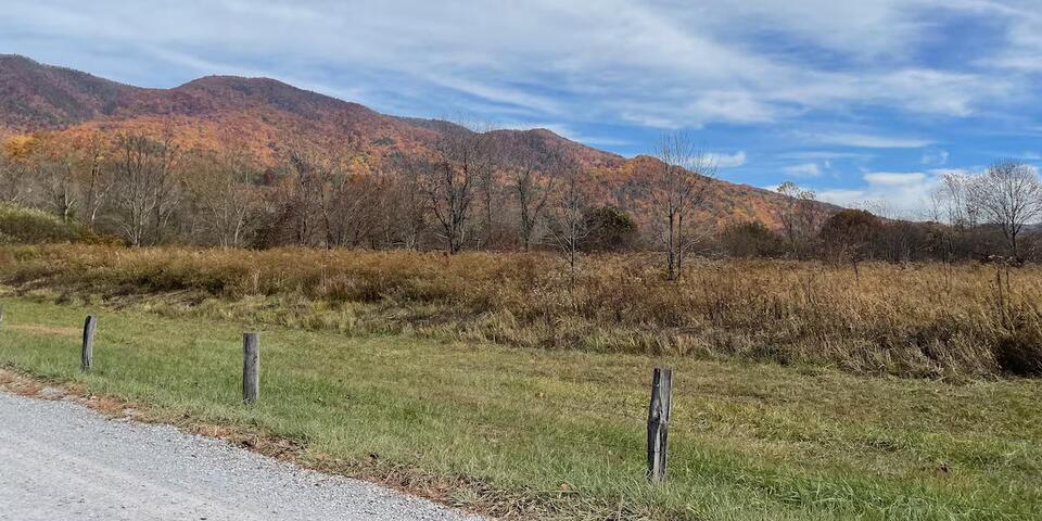 Cades Cove Loop Road to close in Smokies for hazard removal - NewsBreak