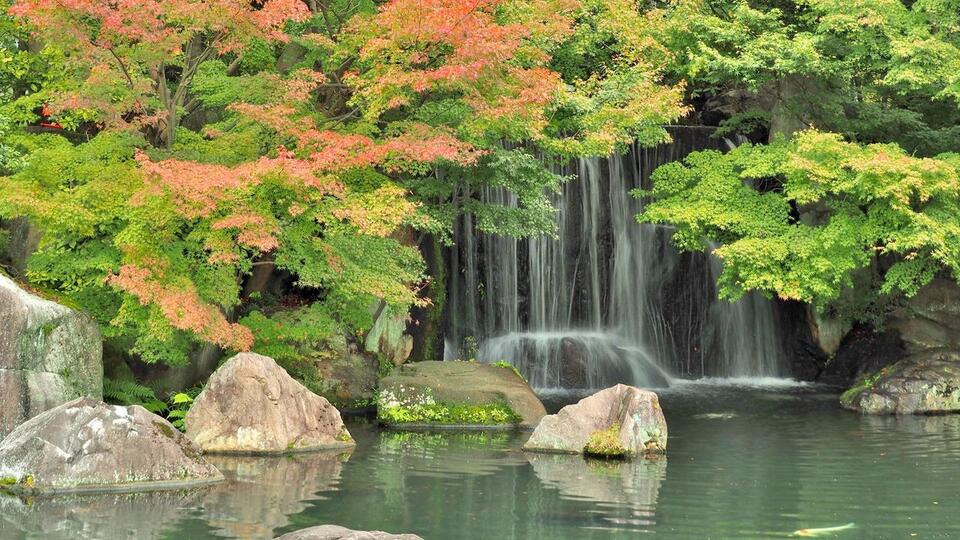 Garden Pros Say This Japanese Design Idea Is the Secret to a Calmer ...