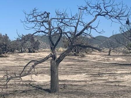 Boulter Fire is now 100% contained, officials say