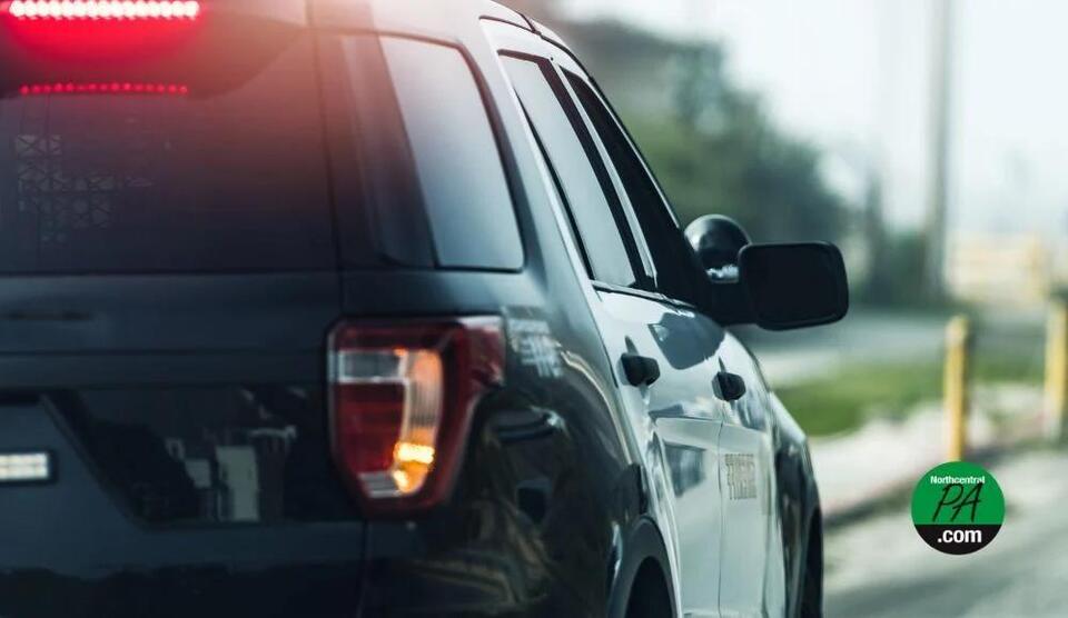 Police on the hunt for horse shooter - NewsBreak