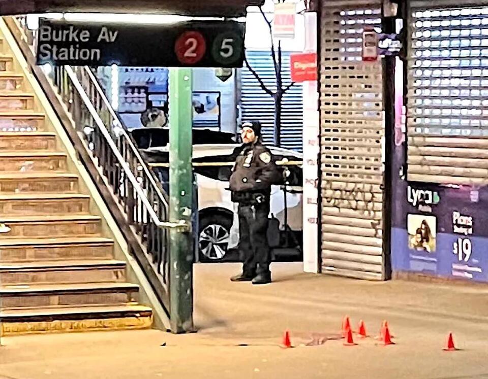 Teen boy faces murder charge in execution-style shooting at Bronx ...
