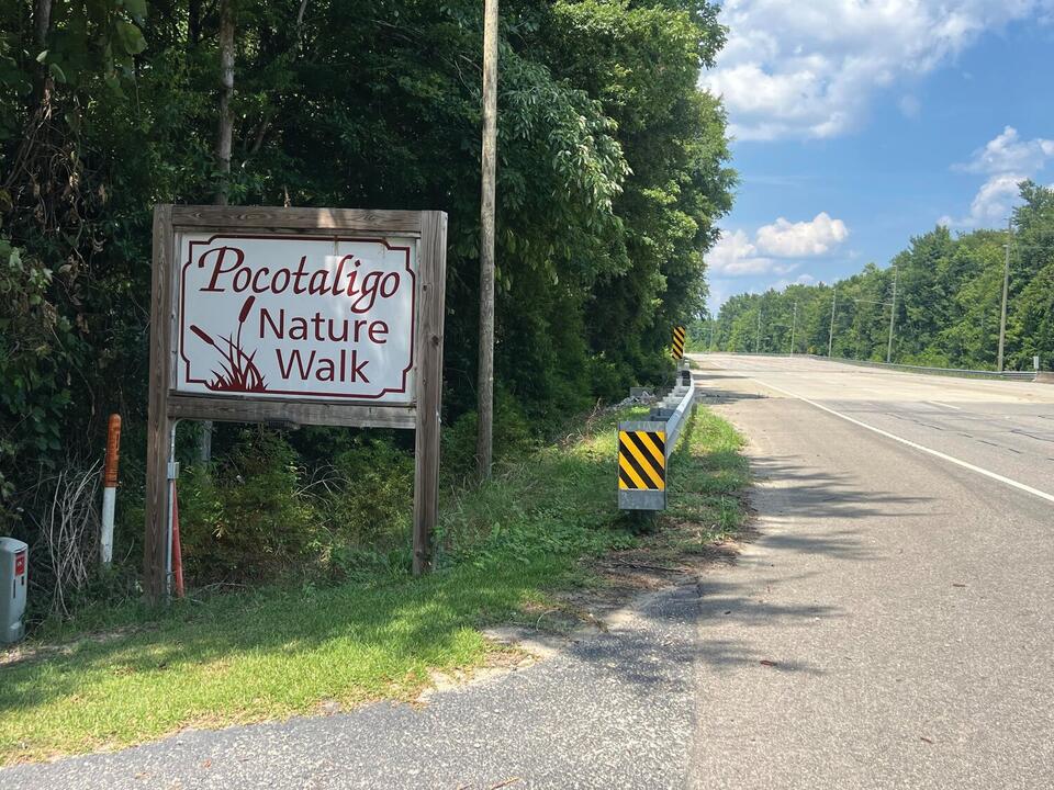 PFAS pollution in Pocotaligo River raises concerns - NewsBreak