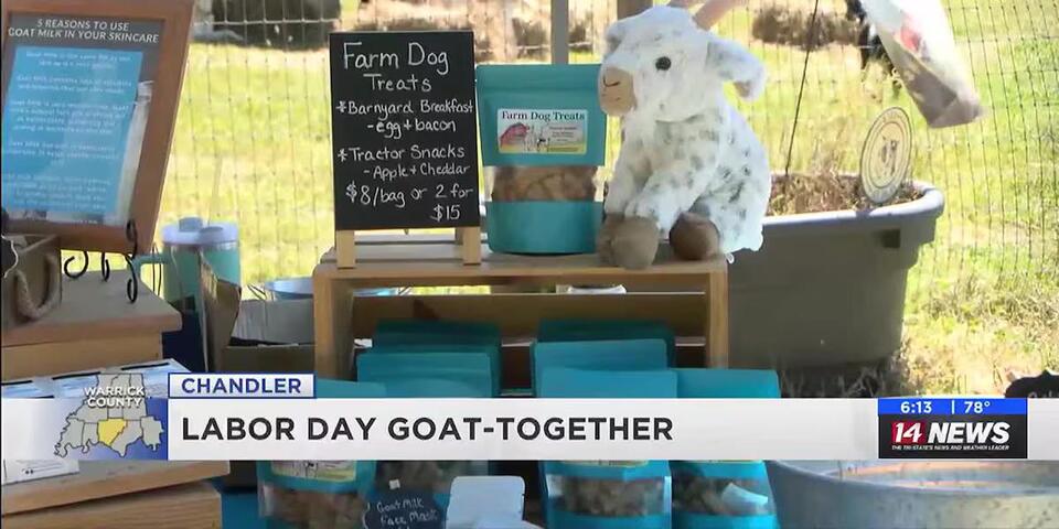 Blue Heron Farm hosts first-ever Labor Day ‘Goat-Together’ - NewsBreak