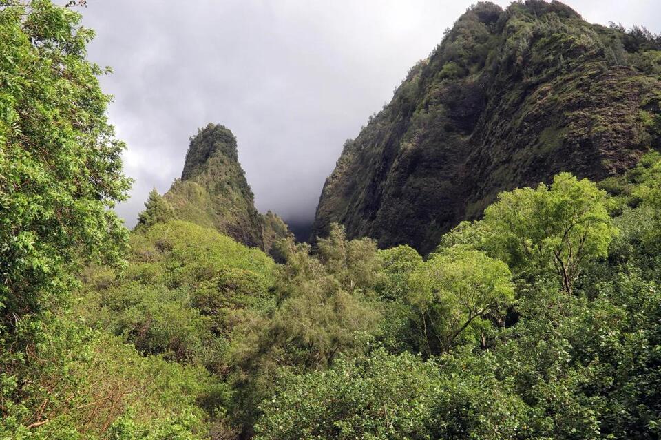 ʻĪao Valley State Monument - NewsBreak
