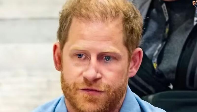 Analyst Says Public Is ‘Sick To The Back Teeth’ Of Prince Harry - NewsBreak