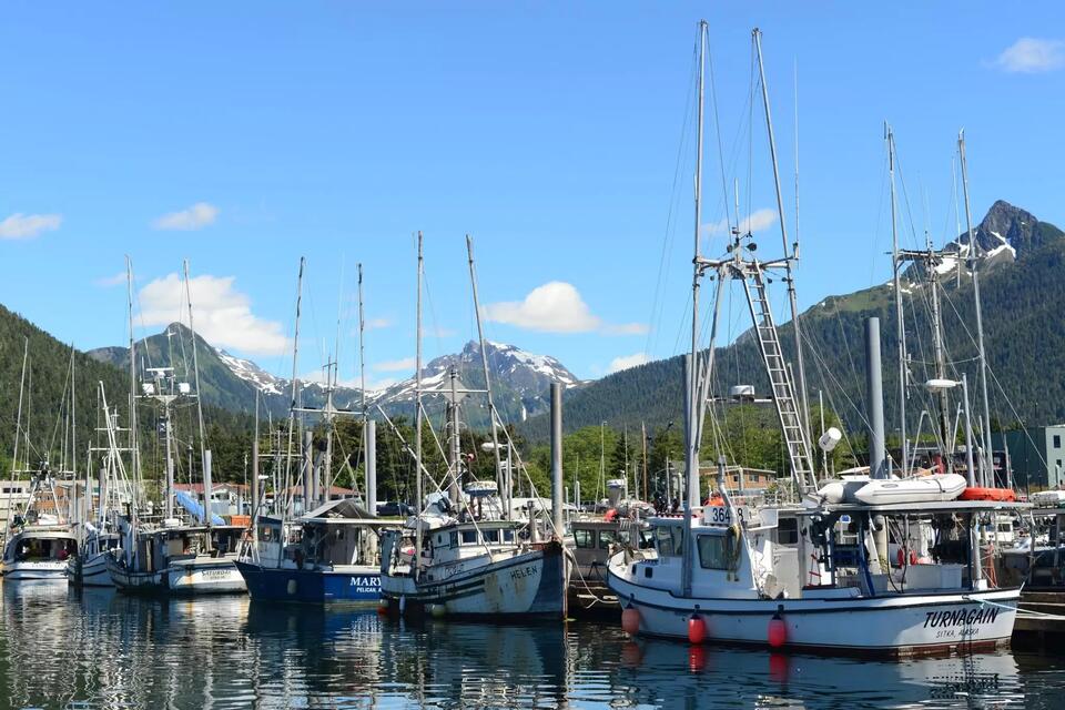 Sitka still without internet, cell service after undersea cable break ...