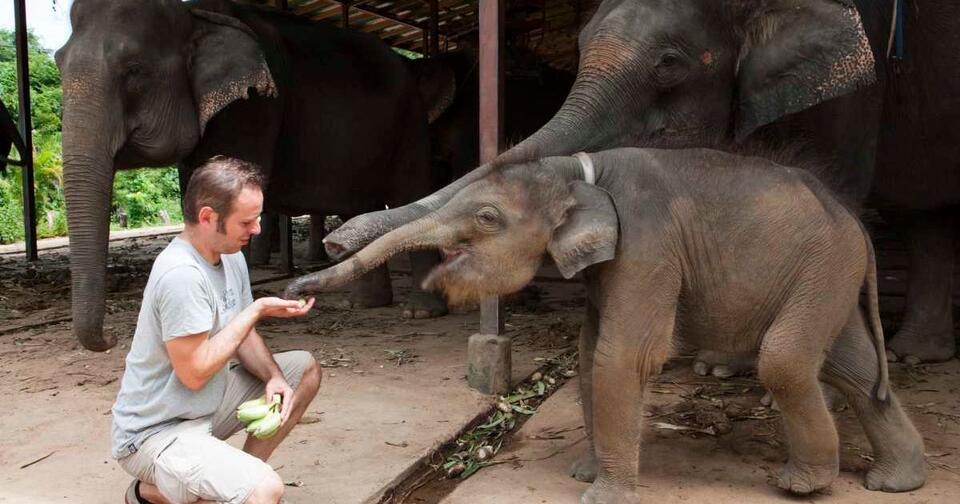 Baby Elephant With an Unusual Trunk Was Spotted in Kenya — a Vet Had To ...