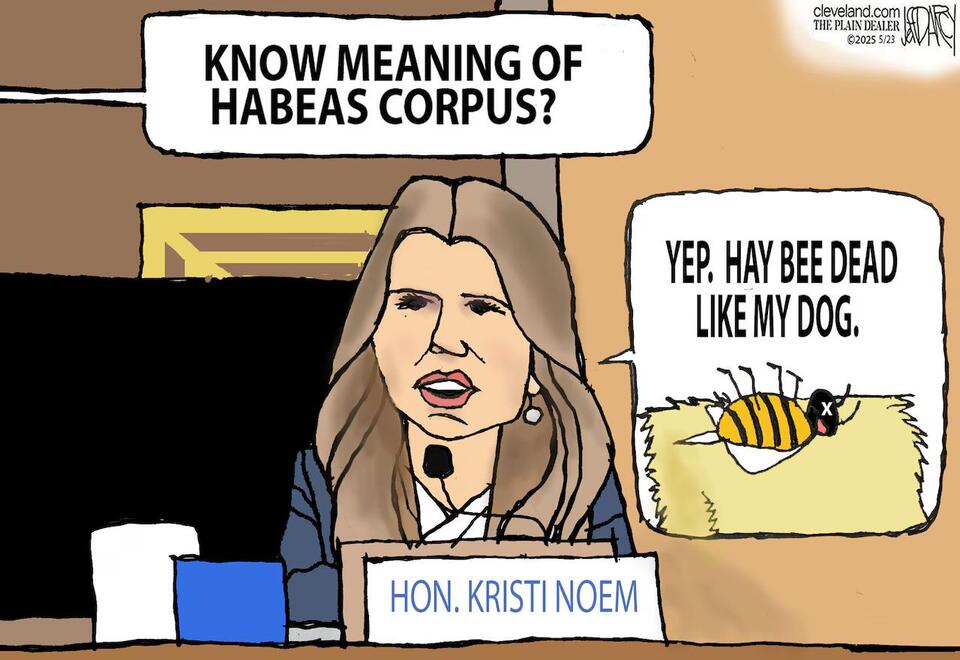 Kristi Noem on habeas corpus: Darcy cartoon - NewsBreak