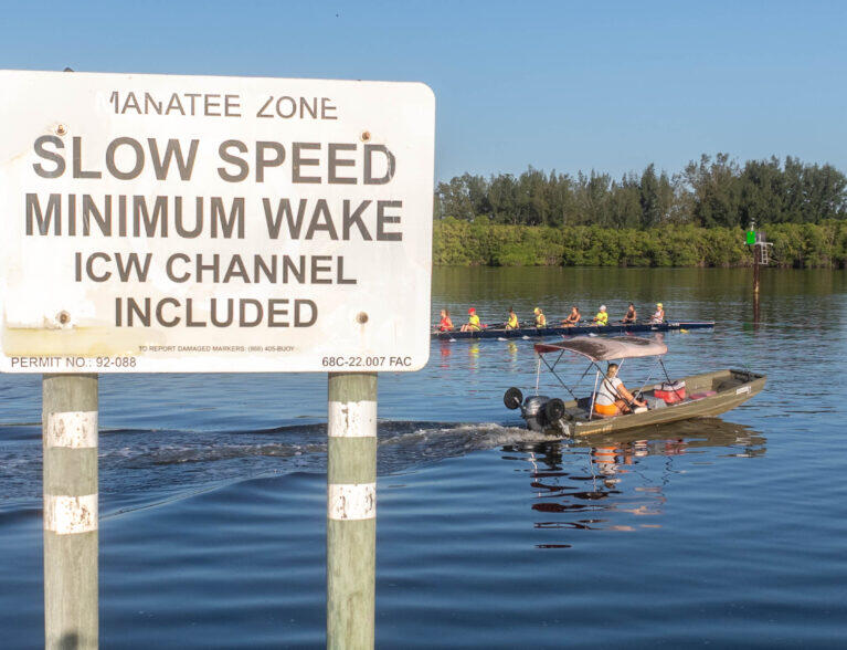 Boat speed limits may be raised in some Manatee Zones - NewsBreak