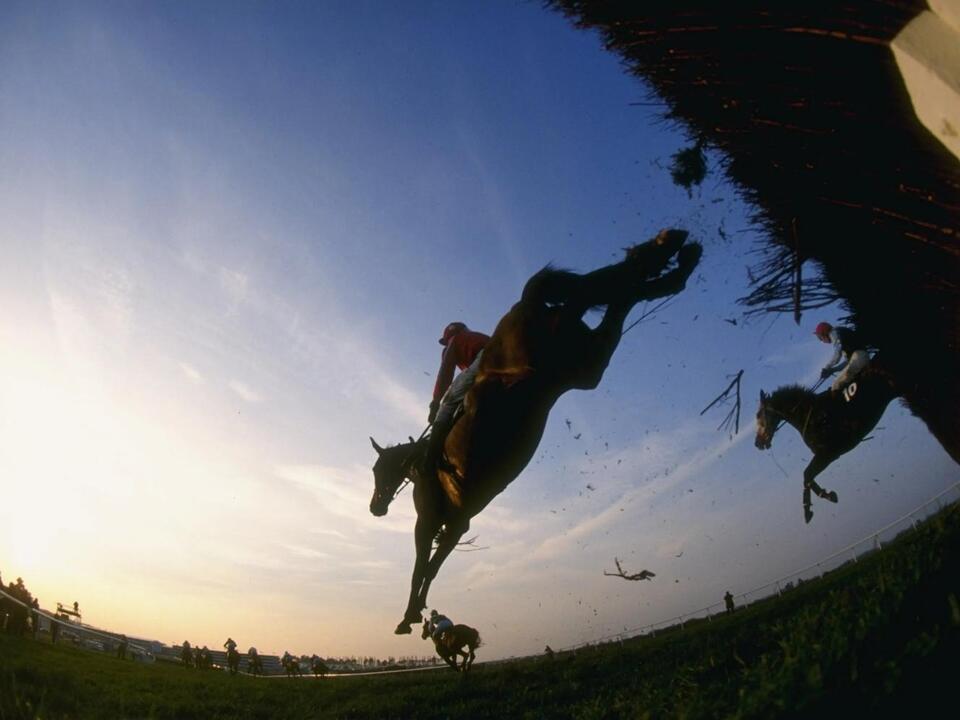 Horse suffers fatal racing injury at Santa Anita