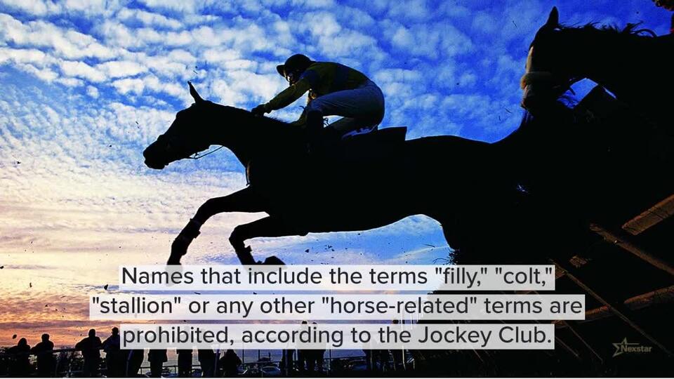 Thorpedo Anna retires as Keeneland’s Fall Meet comes to an end - NewsBreak