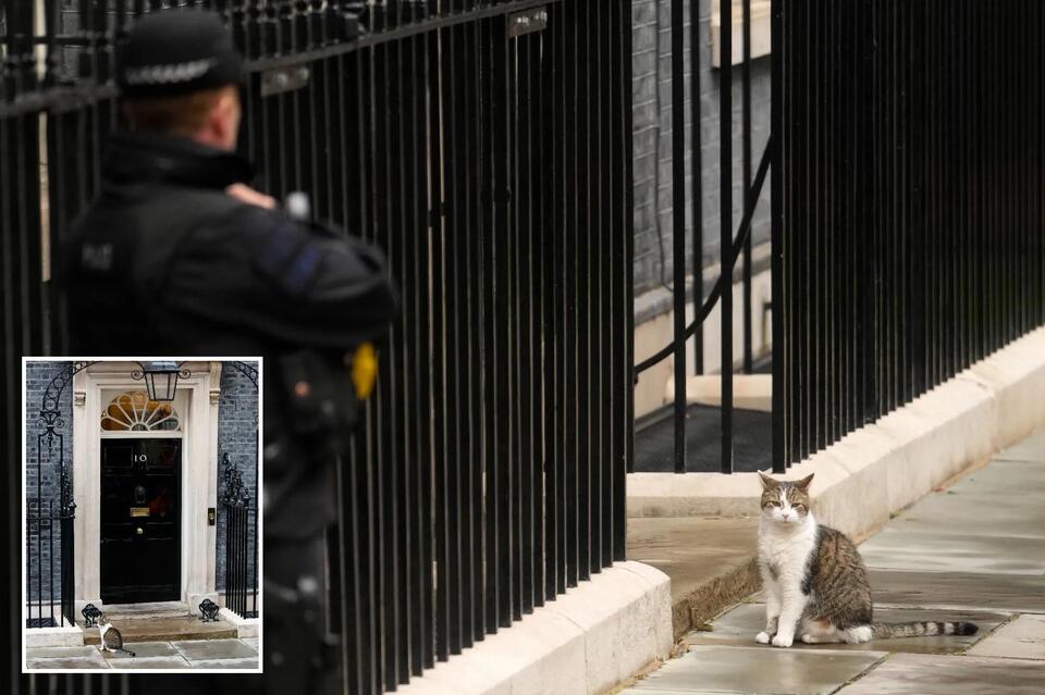 Larry the Cat, the United Kingdom’s ‘chief mouser,’ outlasts five prime ...