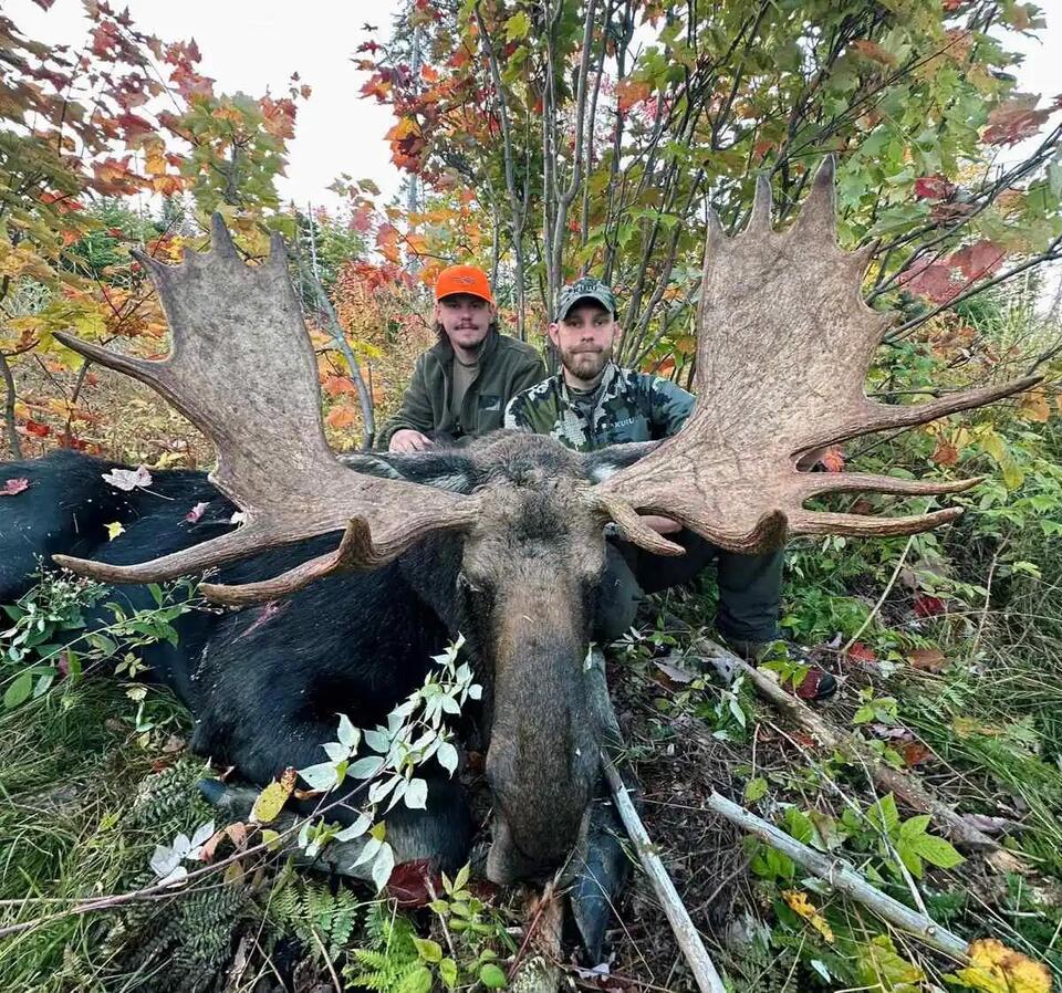 The Maine moose hunters who tagged out on opening day - NewsBreak