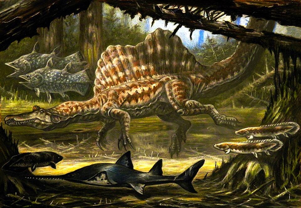 Spinosaurus: The Aquatic Predator That’s Still Changing Shape - NewsBreak
