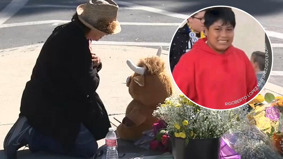 Suspect in hit-and-run that left teen dead is on probation for previous ...