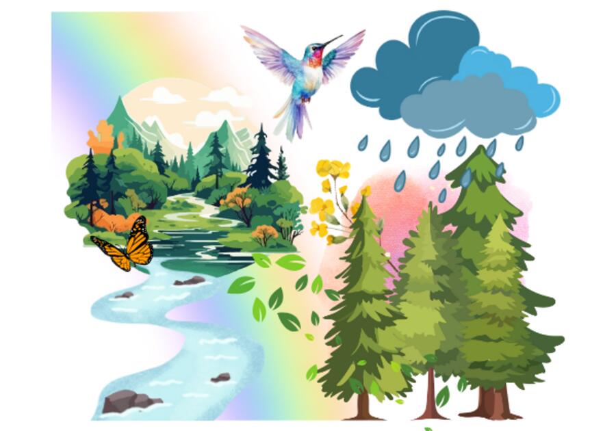 The Importance of Getting Grounded in Nature and How to Do It - NewsBreak