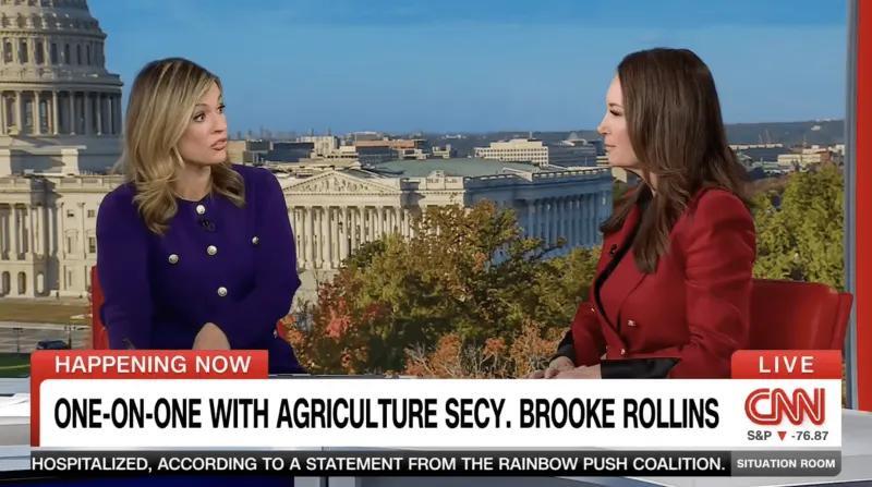 'No, no, let's look at the facts': CNN host cuts off Trump official in ...