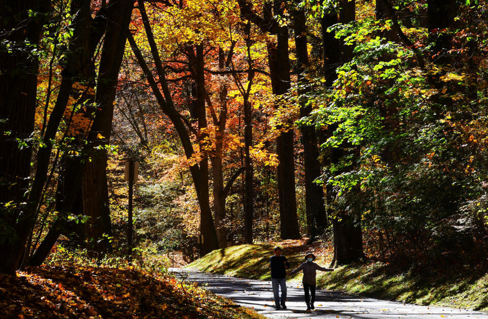 Day and night get equal billing as fall equinox arrives. Here are 3 ...