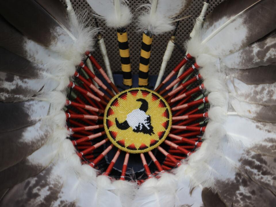 American Indian and Alaska Natives in Tribal Areas Have Among Lowest ...