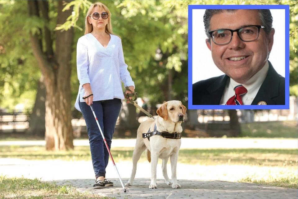 NJ senator moves to punish service dog discrimination - NewsBreak