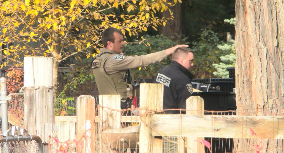 McKenzie Bridge shootout sends two men to the hospital - NewsBreak