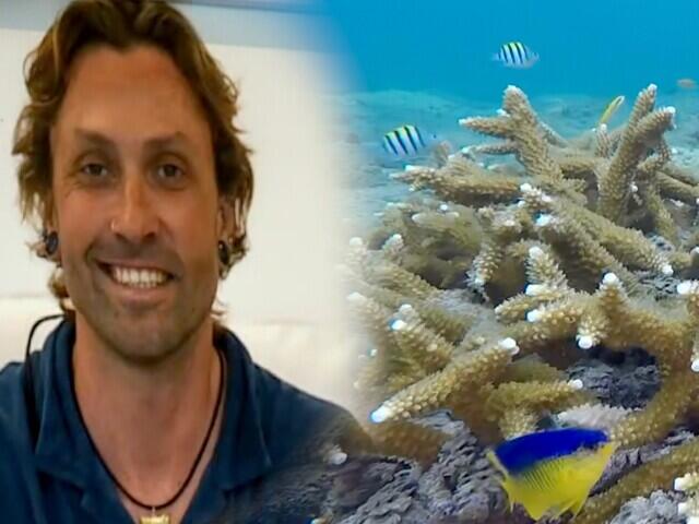'I miss him with all my heart': Memorial reef to honor missing diver ...