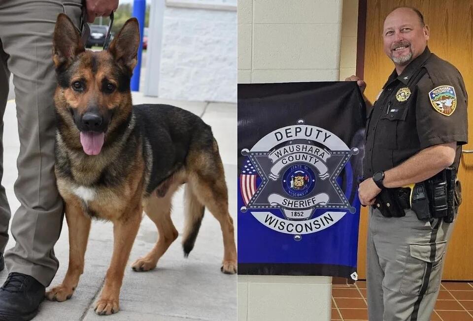 Waushara Co Board launches independent investigation into sheriff’s K9 ...