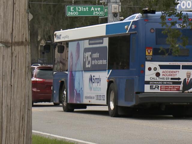 Proposal could bring free bus route to Tampa - NewsBreak
