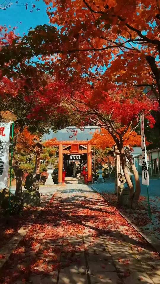 Sakakiyama inari Shrine Iwate iwate tohoku - NewsBreak