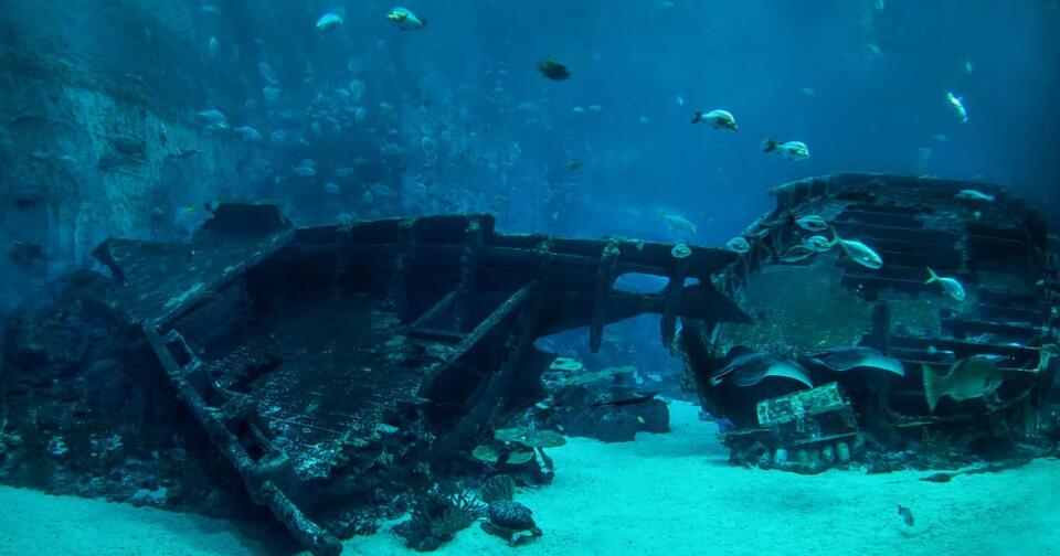 Japanese WWII 'ghost fleet' that sank in Micronesia has become 'ticking ...