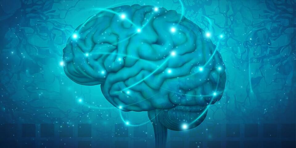 Scientists identify a mysterious brain signal tied to stress and ...
