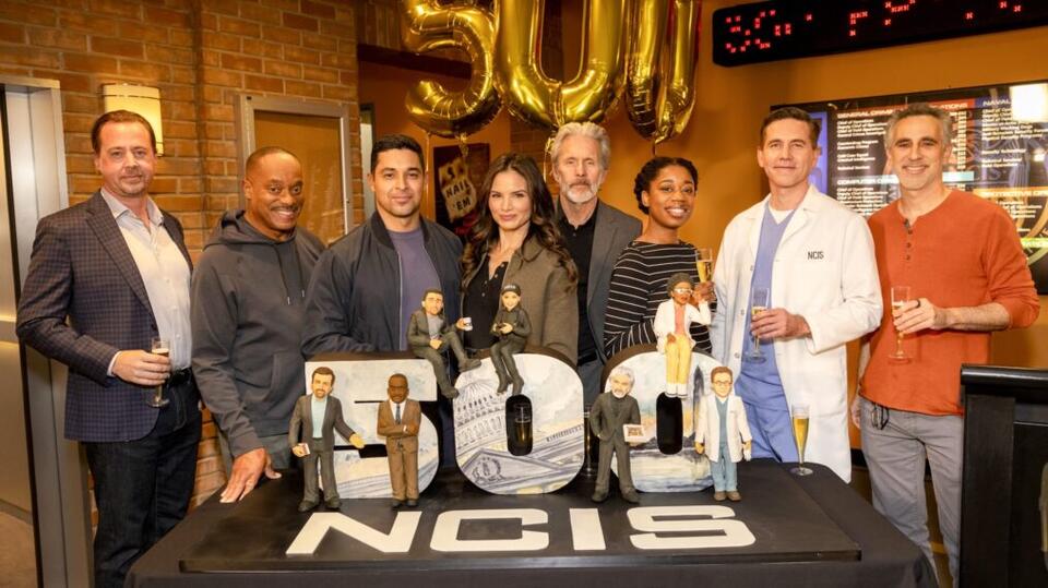 ‘NCIS’ Celebrates Episode 500: See Cast With Their Cake(?) Figures ...