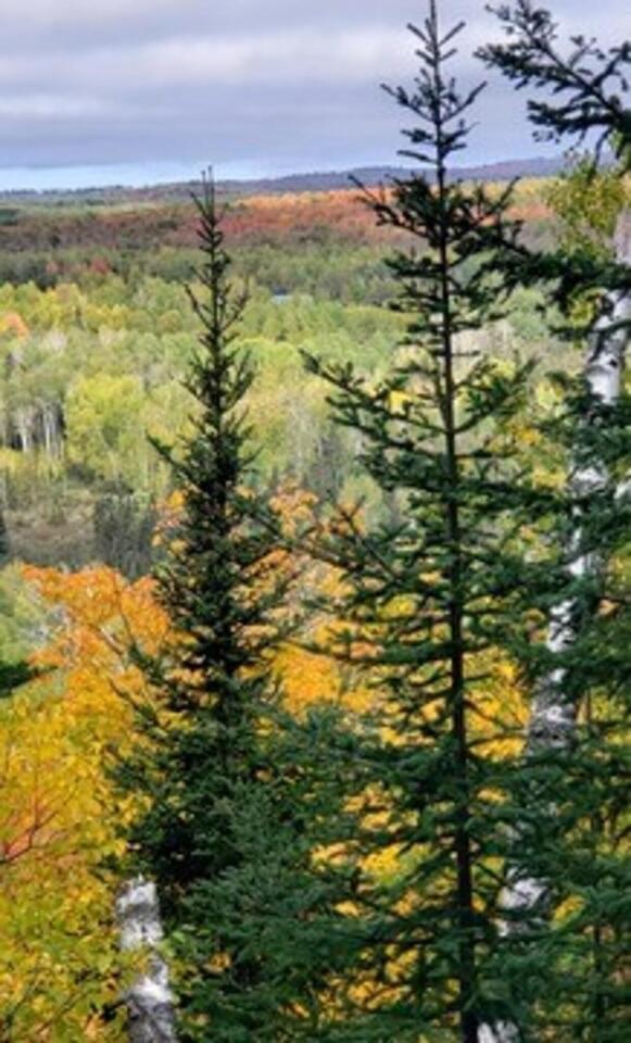 Take a scenic fall color drive through Minnesota’s state forests ...