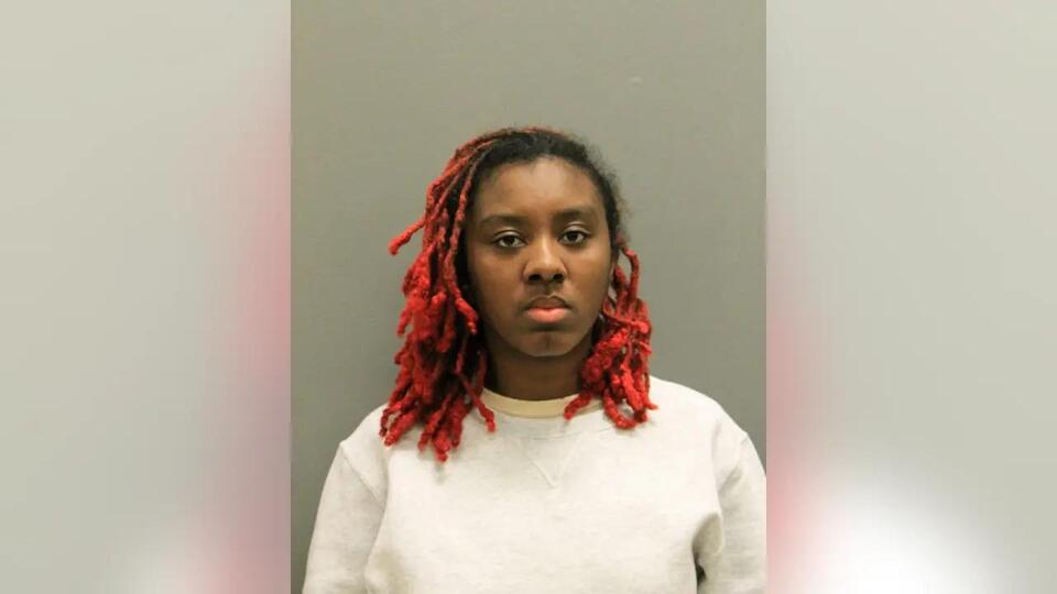 Cook County woman arrested in North Carolina, extradited to Chicago on ...