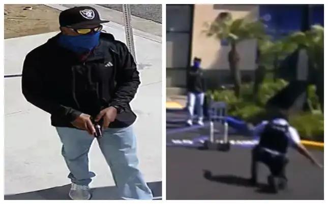 Convict Is Granted 'Compassionate Release' But Back Behind Bars for the ...