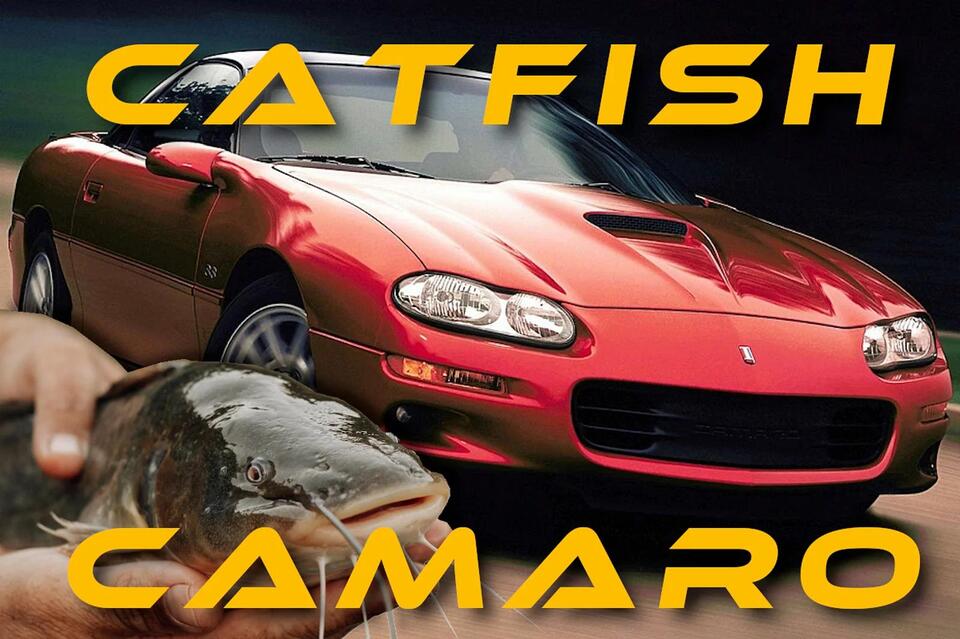 What Is The Catfish Camaro? A Deep Dive Into The Camaro's Least-Loved ...
