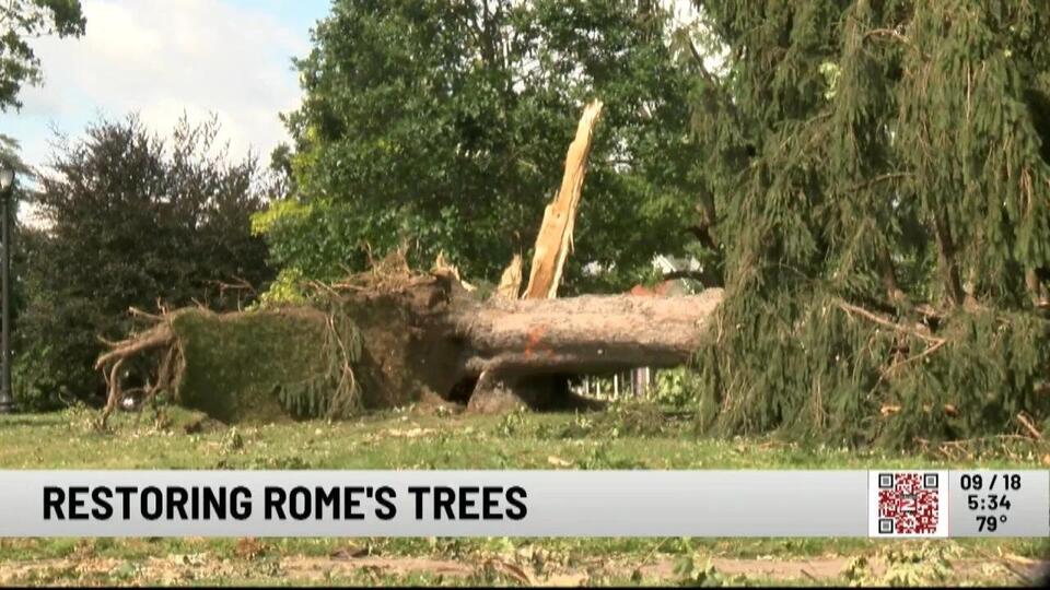 Rome Plants Trees After Losing Hundreds in Last Summer's Storms - NewsBreak