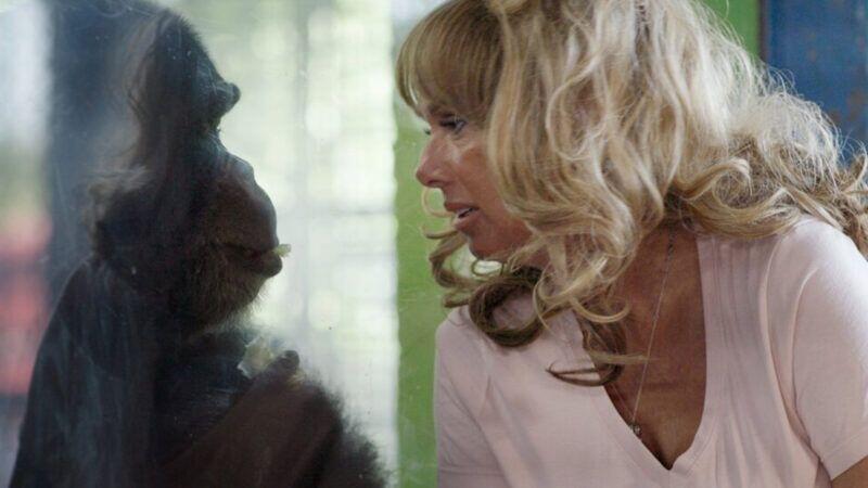 Review: HBO's Chimpanzee Murder Mystery - NewsBreak