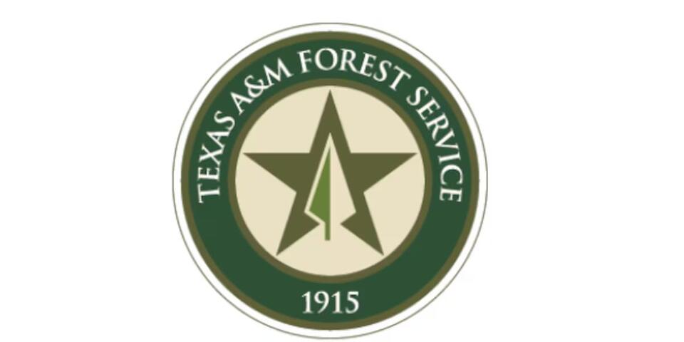 Texas A&M Forest Service awards over $550,000 to Panhandle fire ...