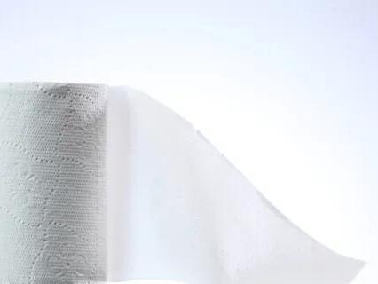 Here’s Why You Have No Reason To Panic-Buy Toilet Paper During East ...