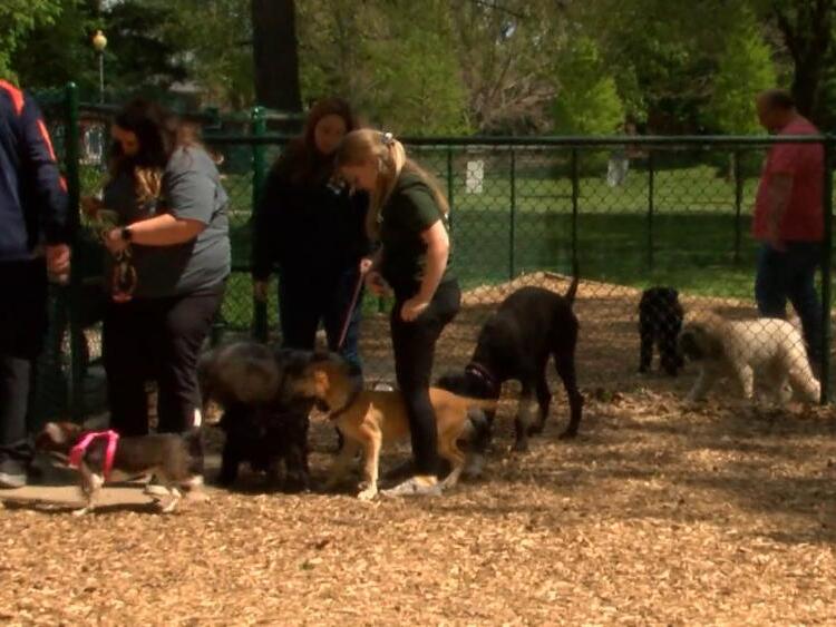 'Pups in the Park' held on Sunday by Saving Paws Animal Rescue