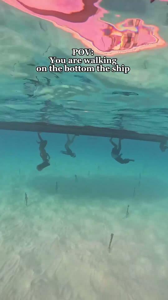 And now a moment of zen celine4174 with Insta360 X4 insta360diving ...